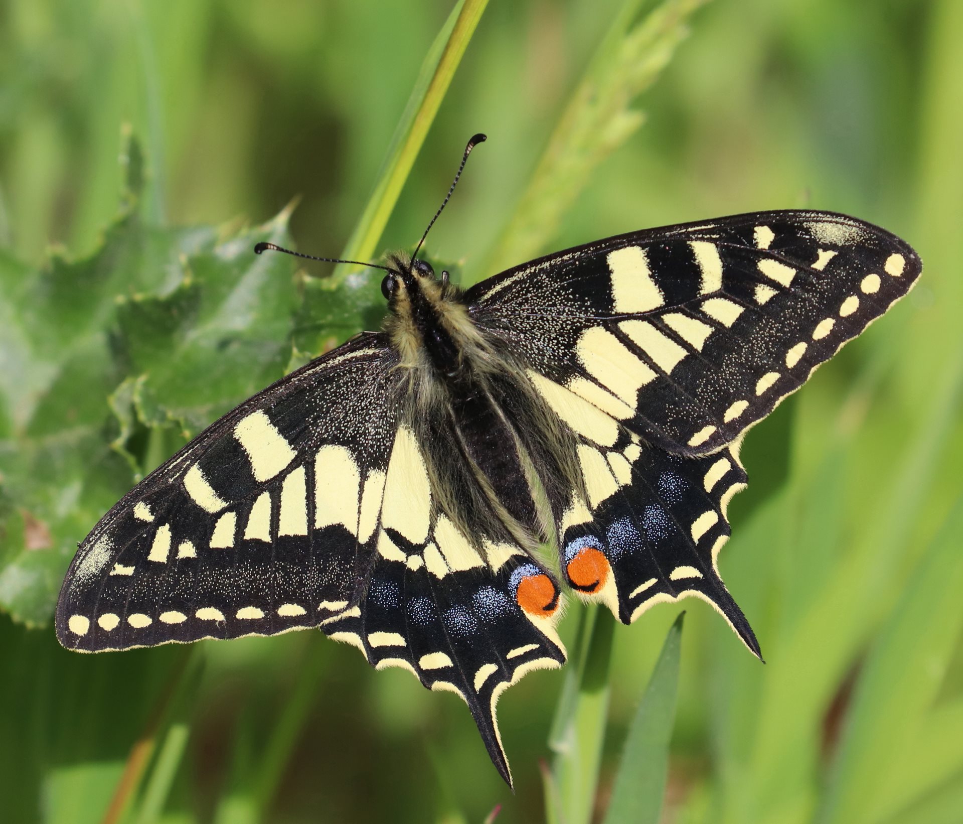 New Exhibition - Museum of the Broads